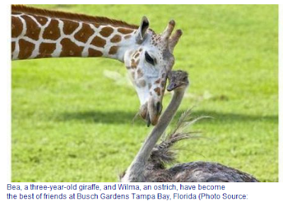 IF ONLY THEY COULD TALK!