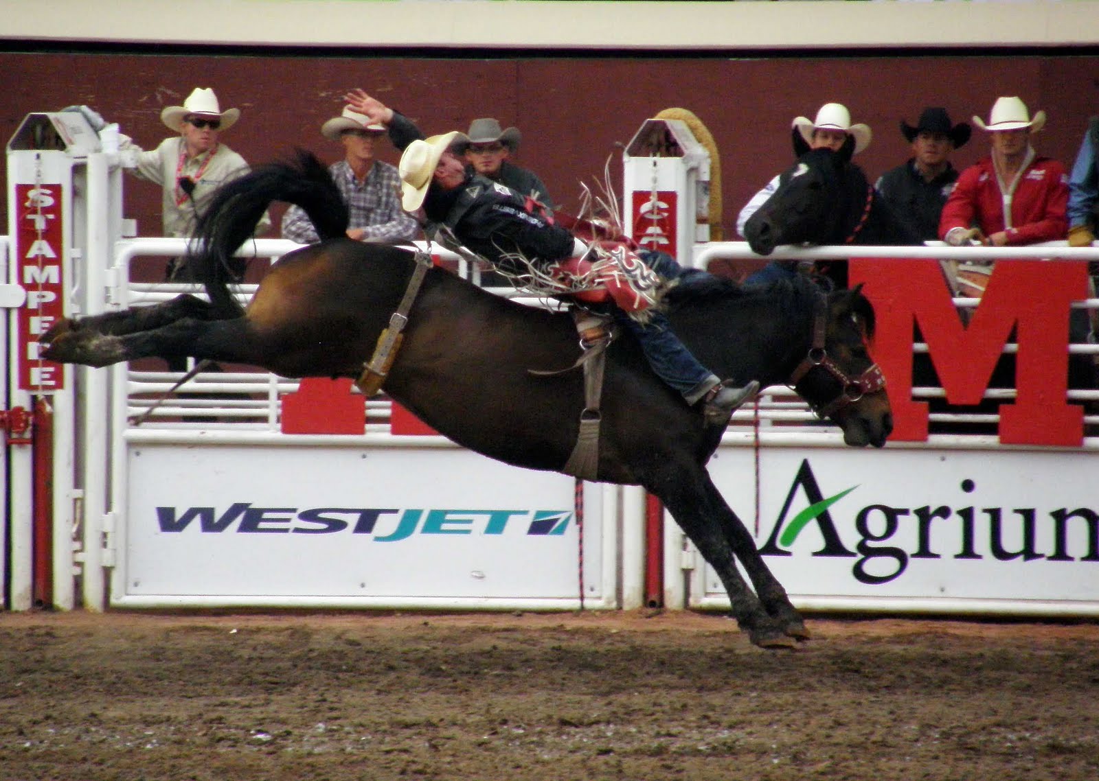 CANADIAN QUEST: Calgary Stampede (Rodeo, Chuck Wagons, Night Show)