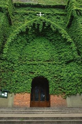 good church design: How to make a Green (literally) Church