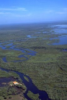 Conceitos de Hidrologia: Planície Aluvial