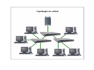 TOPOLOGIA DE REDES: Red en árbol