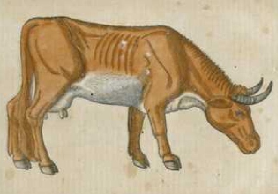 HAPPIER CIRCUMSTANCE: Conrad Gesner's Historiae animalium