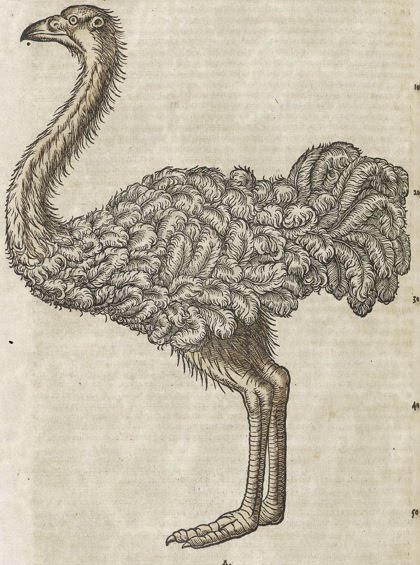 HAPPIER CIRCUMSTANCE: Conrad Gesner's Historiae animalium