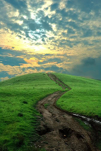 Holy Ordinary: The Sacraments of Everyday Life: As Way Opens: A Path of ...