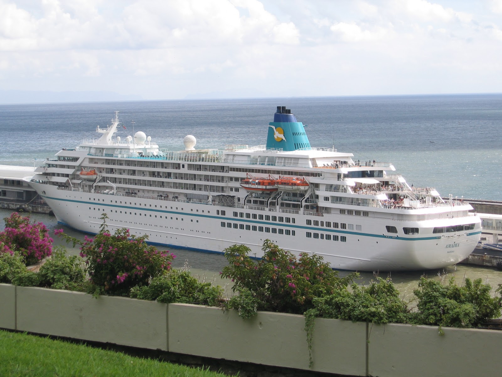 MADEIRA SHIPS: Celebrity Eclipse and Amadea