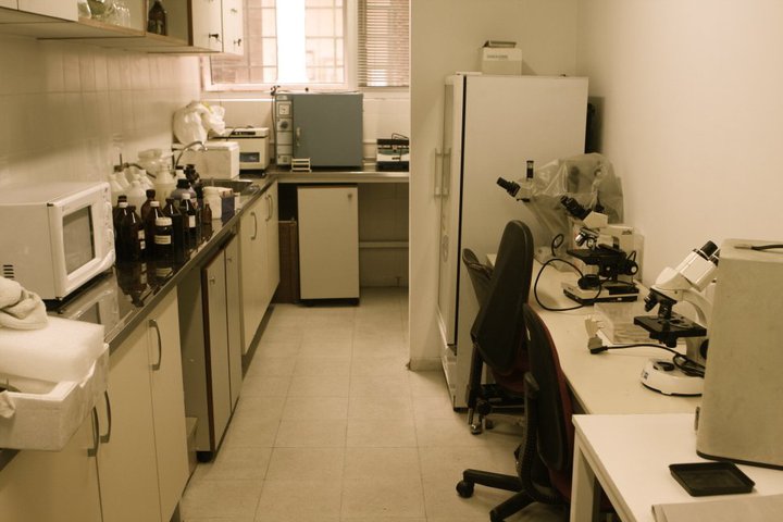 Maureen's Argentina: The Parasitology Laboratory