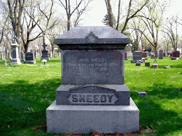 Murder by Gaslight: The Great Sheedy Murder Case.