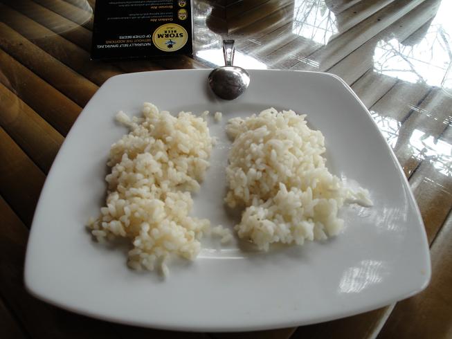 Permaculture on Bali