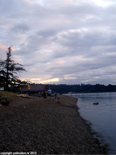 Saltar's Point Beach (Gordon Point)