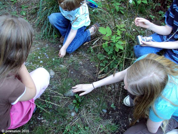 International Rock Flipping Day