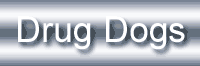 Drug Dogs | Search and Seizure | Traffic Stops - Tampa Drug Lawyer
