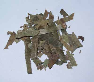 the story of TCM herbal stuff: Honey cured Pi pa ye (Loquat leaf)