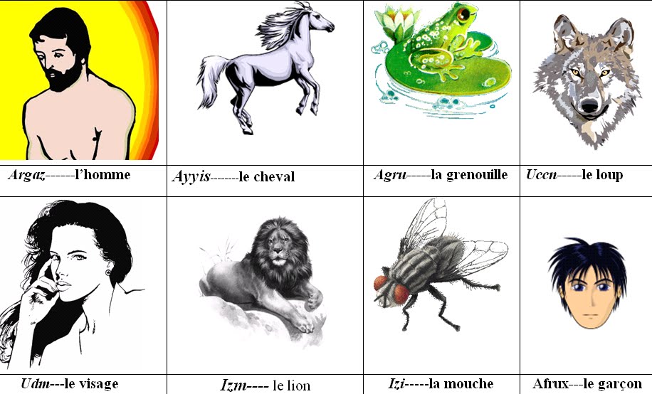 tashelhit-tachelhit: sawal-tachelhit,le nom(1)
