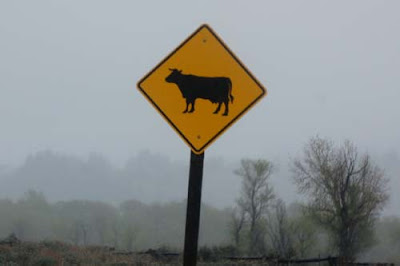 Side Trips: EVERY DAY IS A WINDING ROAD---EVERY DAY IS A FADED SIGN