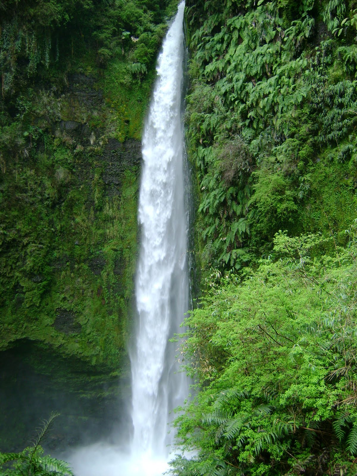 El Bankito Esparramao: Senderismo en Las Cascadas