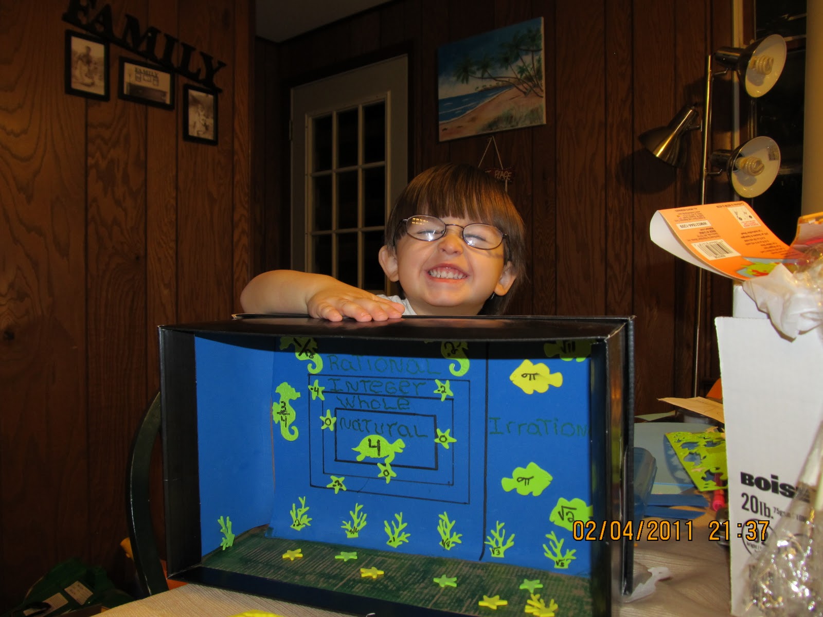 Real Number System Project Ideas