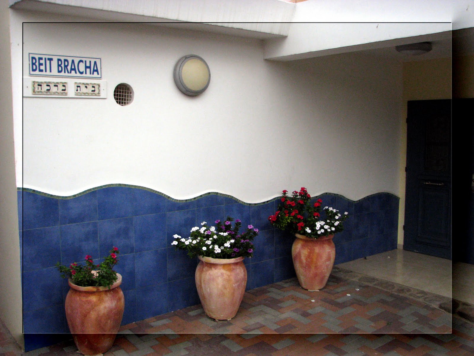 Messianic Moments: Report from Israel #10 - Capernaum and Beyond!