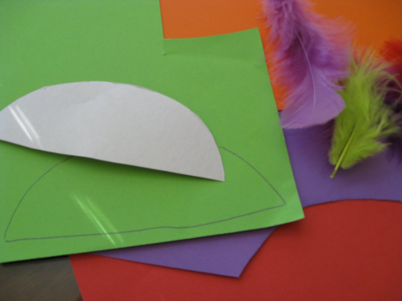 we bloom here: A Rainbow of Birds