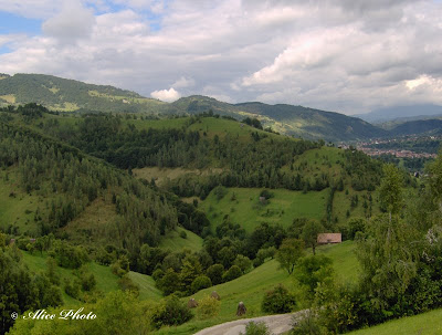 Alice Photo: Satul Pestera - comuna Moeciu