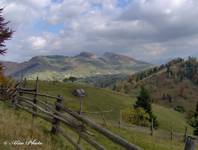 Alice Photo: Satul Pestera - comuna Moeciu