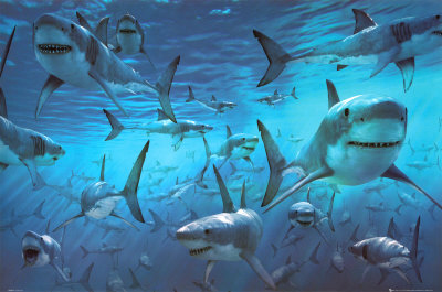 TheDizzyTeacup: Lemonade in shark infested waters....