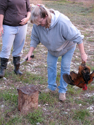 Chicken Slaughter