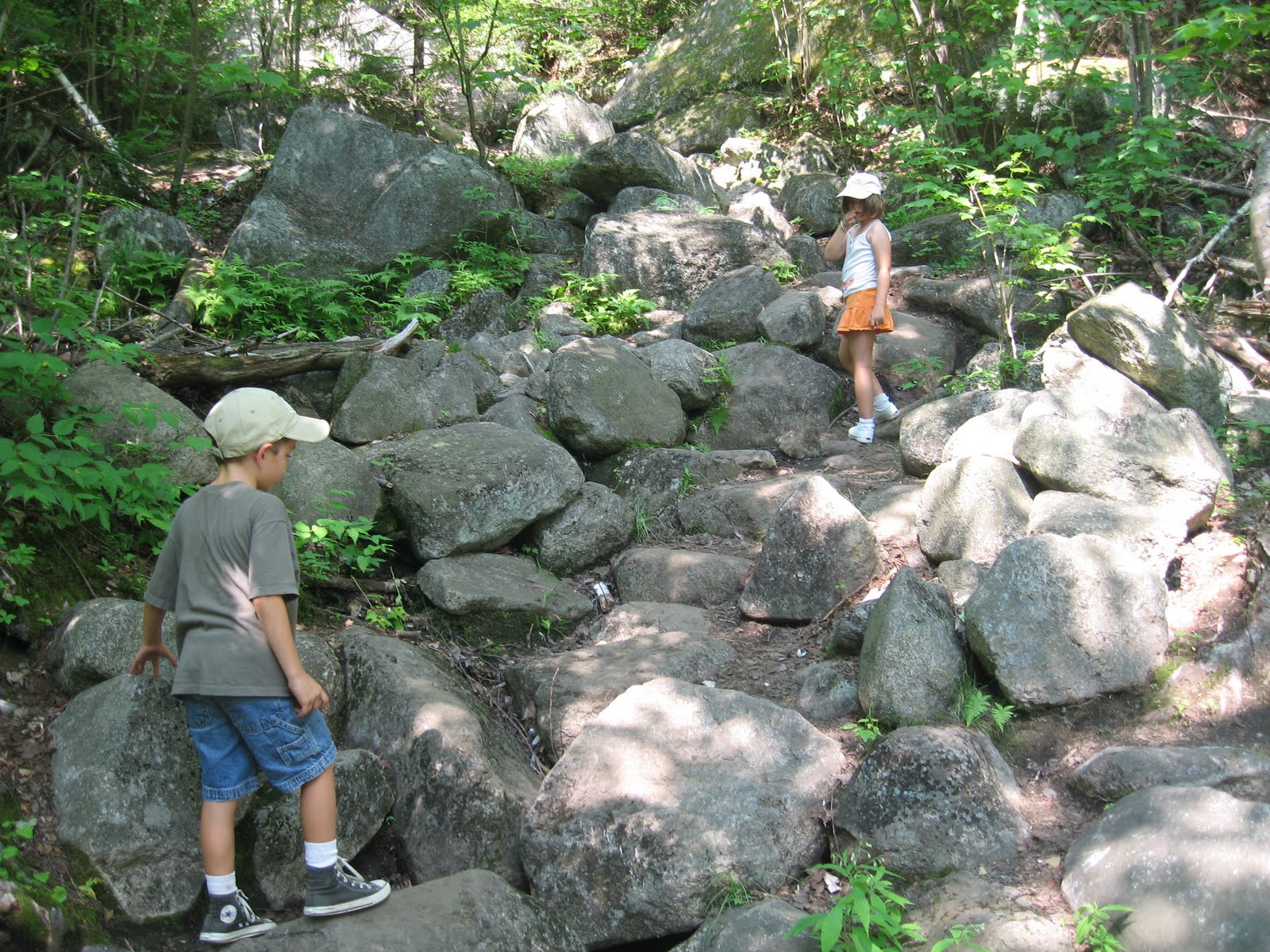 ADIRONDACK HIKES: Mt. Jo