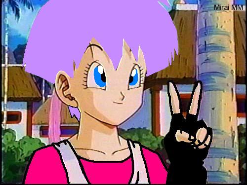 La vida de Glitter the Rabbit