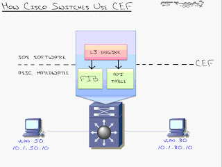Cisco Certified Network Professional [CCNP]: BCMSN - Understanding CEF ...
