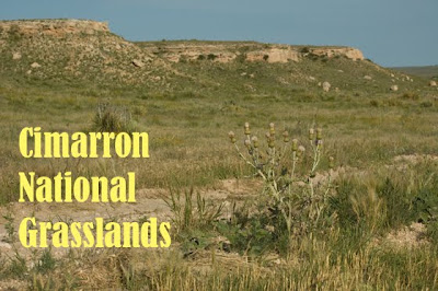 Frank Thompson's Kansas Journeys: Cimarron National Grasslands