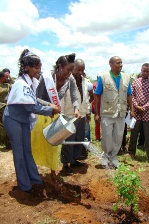 Kenya Forests: Miss Forest leads tree planting in Mt. Kenya University