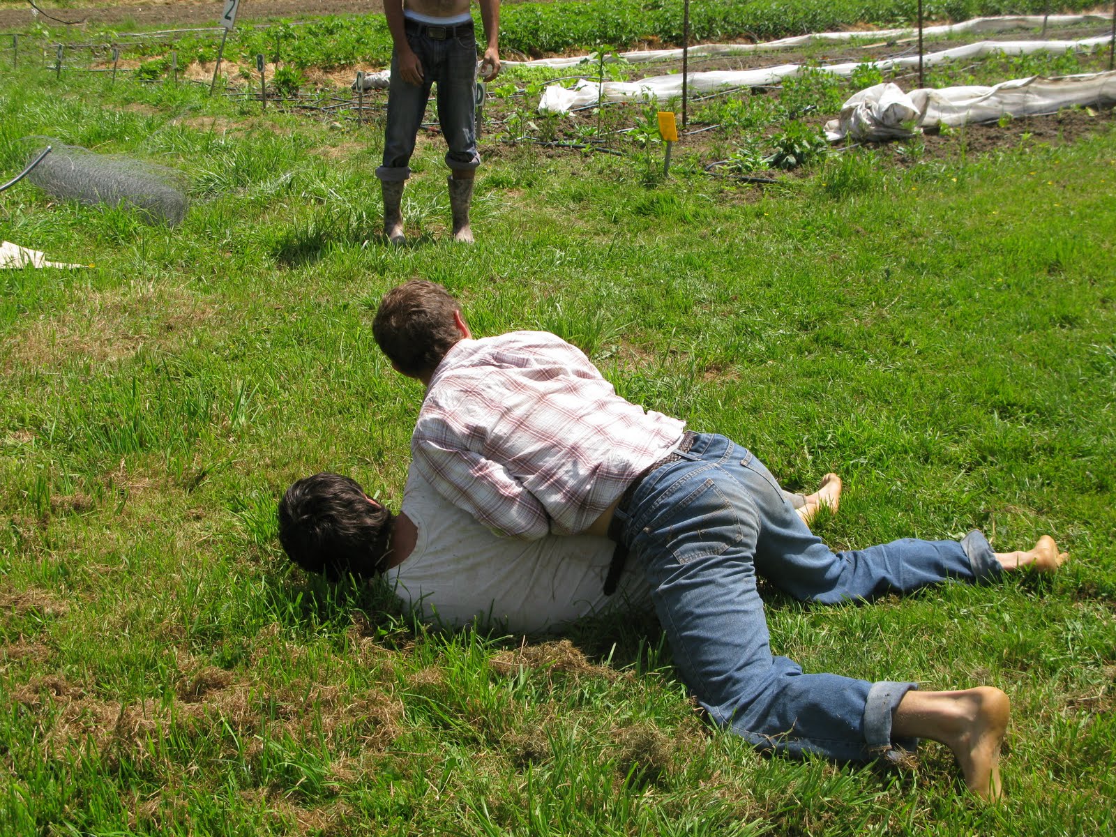 farm yogi: Men at Work