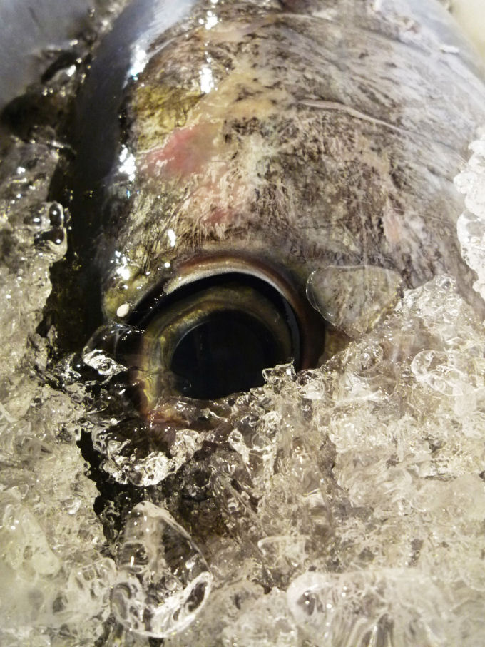 ParataxePhotographique: août 2010