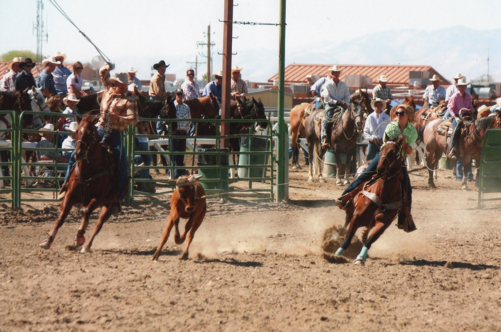Rope Like A Girl: Rodeo and Roping From a Girl's Perspective