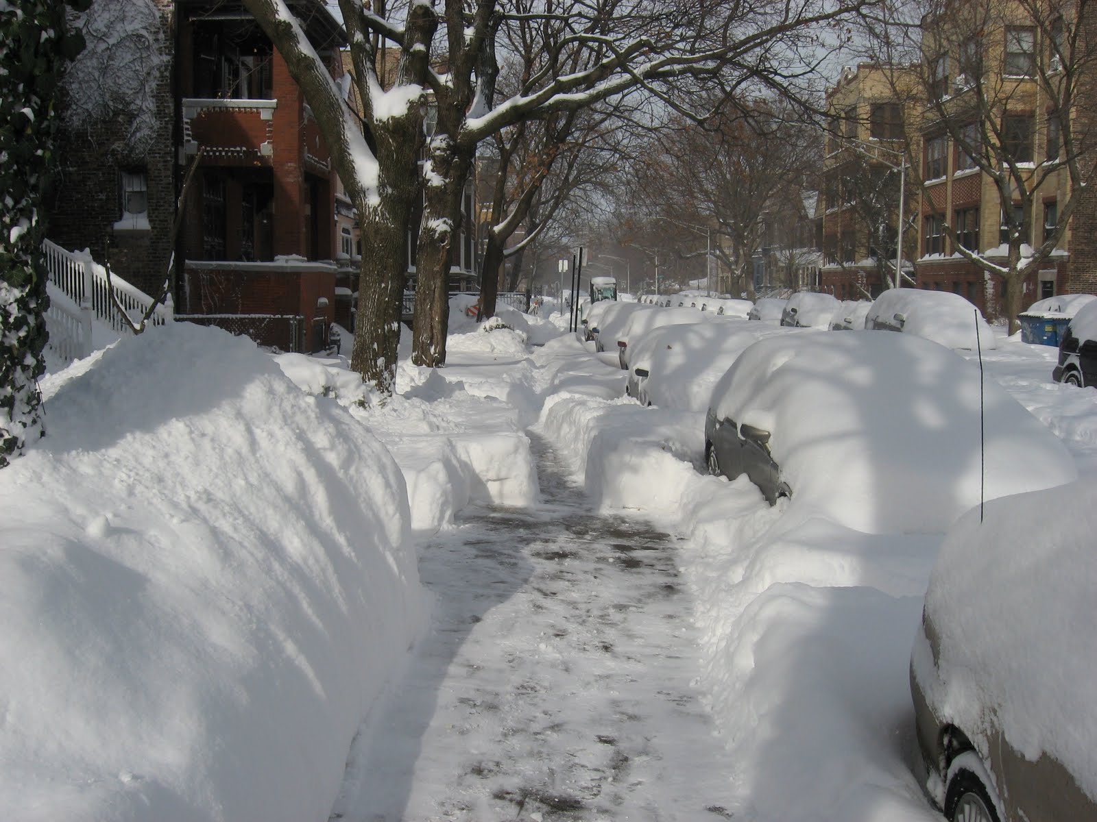 Rata's Rants: Chicago Blizzard! (Slash Snowpocalypse, slash Snowmaggedon)