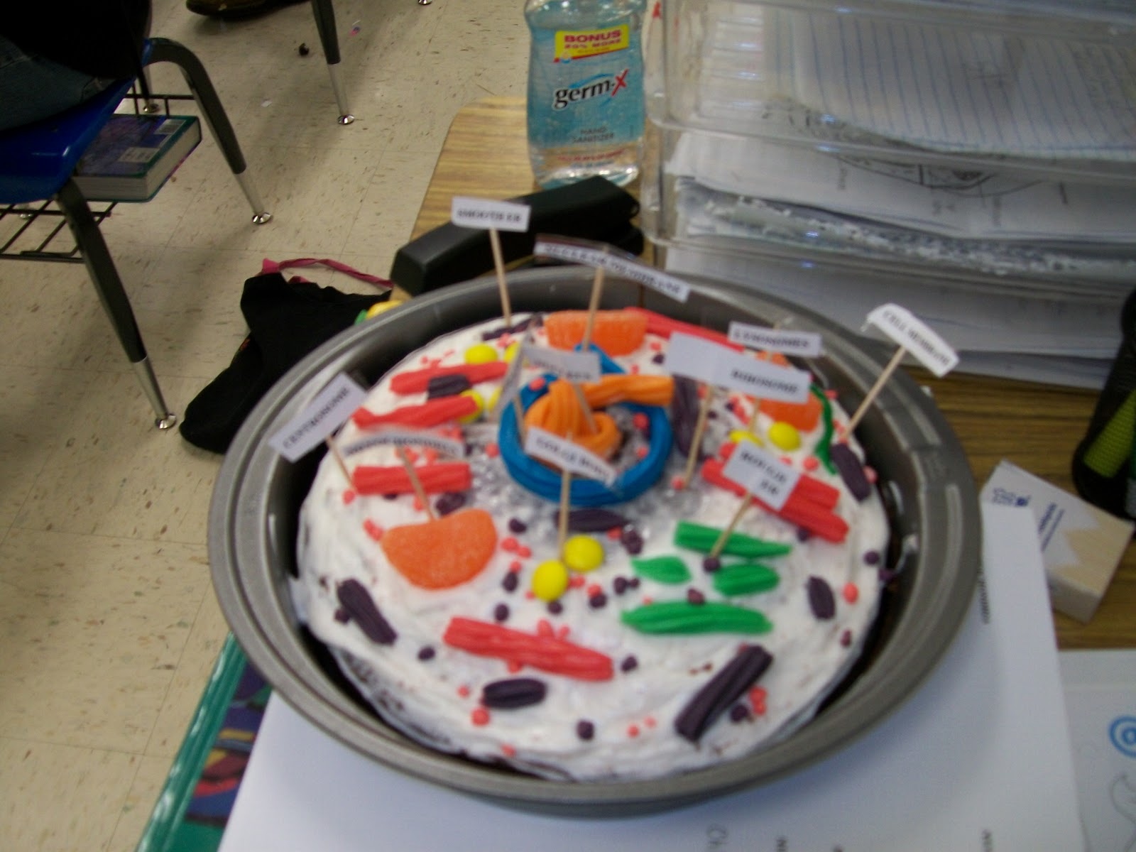 Past Cell Models: Edible Cell Pictures "Plant and Animal Cells" | Ms ...