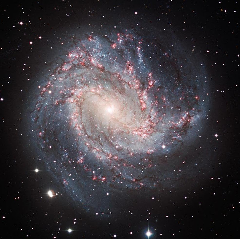 The Large Picture Blog: Hubble Image Showcases Star Birth in M83, the ...