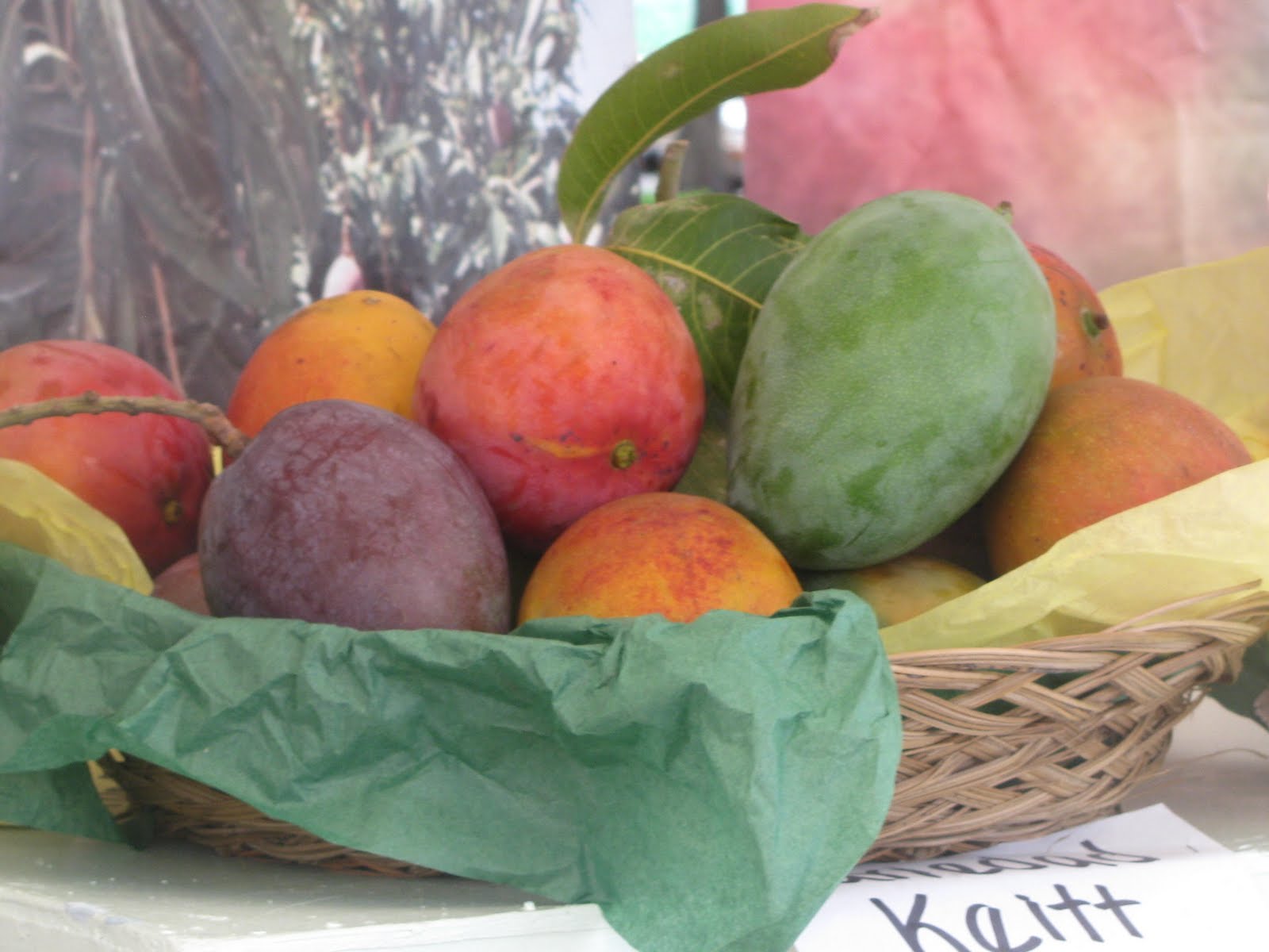 TrapicheSur: Bani..Expo Mango 2010.....Hasta el próximo año....