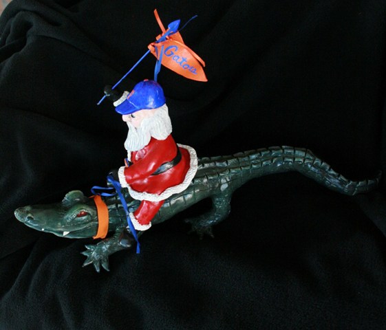 DellaRae DeZines: Gator Santa in the Swamp!