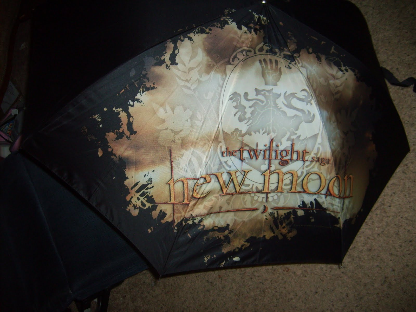Twilight Tears and Dreams: Twilight Saga Clothing/ Jewelry Items ...