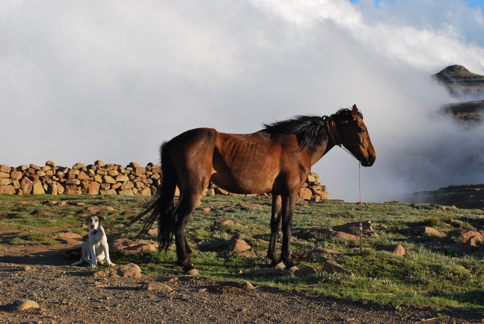 Grand Adventures: Watching Sheep and Towers in Lesotho