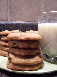 Sprouted Flour Cookies • The Prairie Homestead
