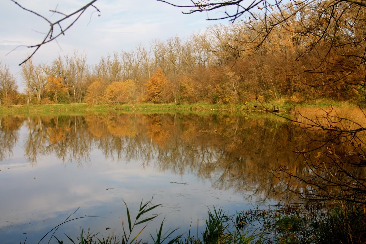 72 MN State Parks in 27 Days: October 9, 2010 - Monson Lake State Park