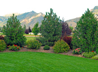 This Grandmother's Garden: March 2010