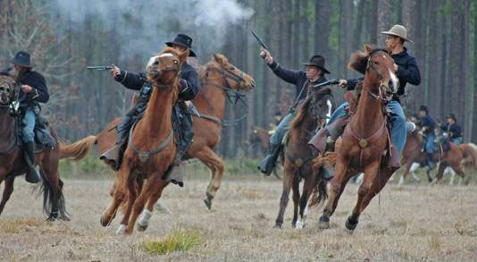 This Grandmother's Garden: The Cavalry Has Arrived!