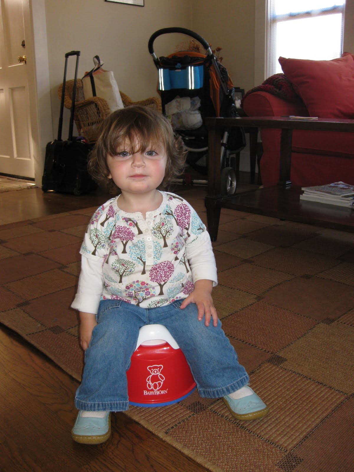 Janie's Zoo, Emma & Lily, too: First potty practice