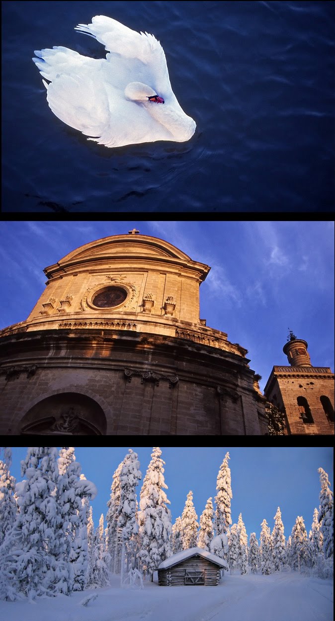 John Hedgecoe Project