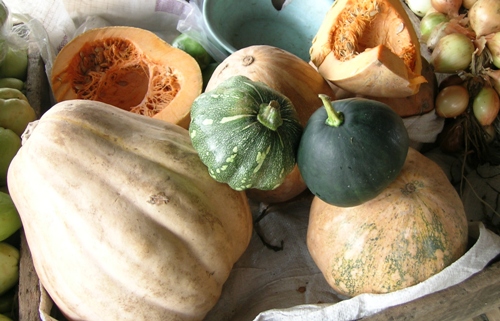 Ayote en Miel El Salvador