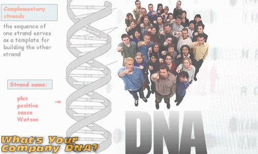 Nwankama's Blog: What's Your Business DNA?