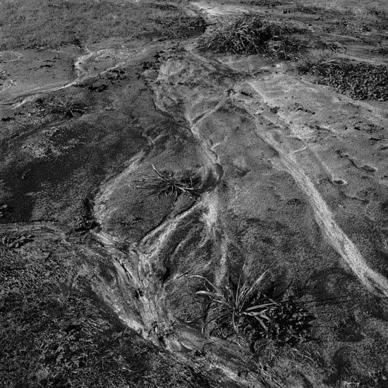 PhotoUTSA: Andrew Stansbury submits Shreepad Joglekar